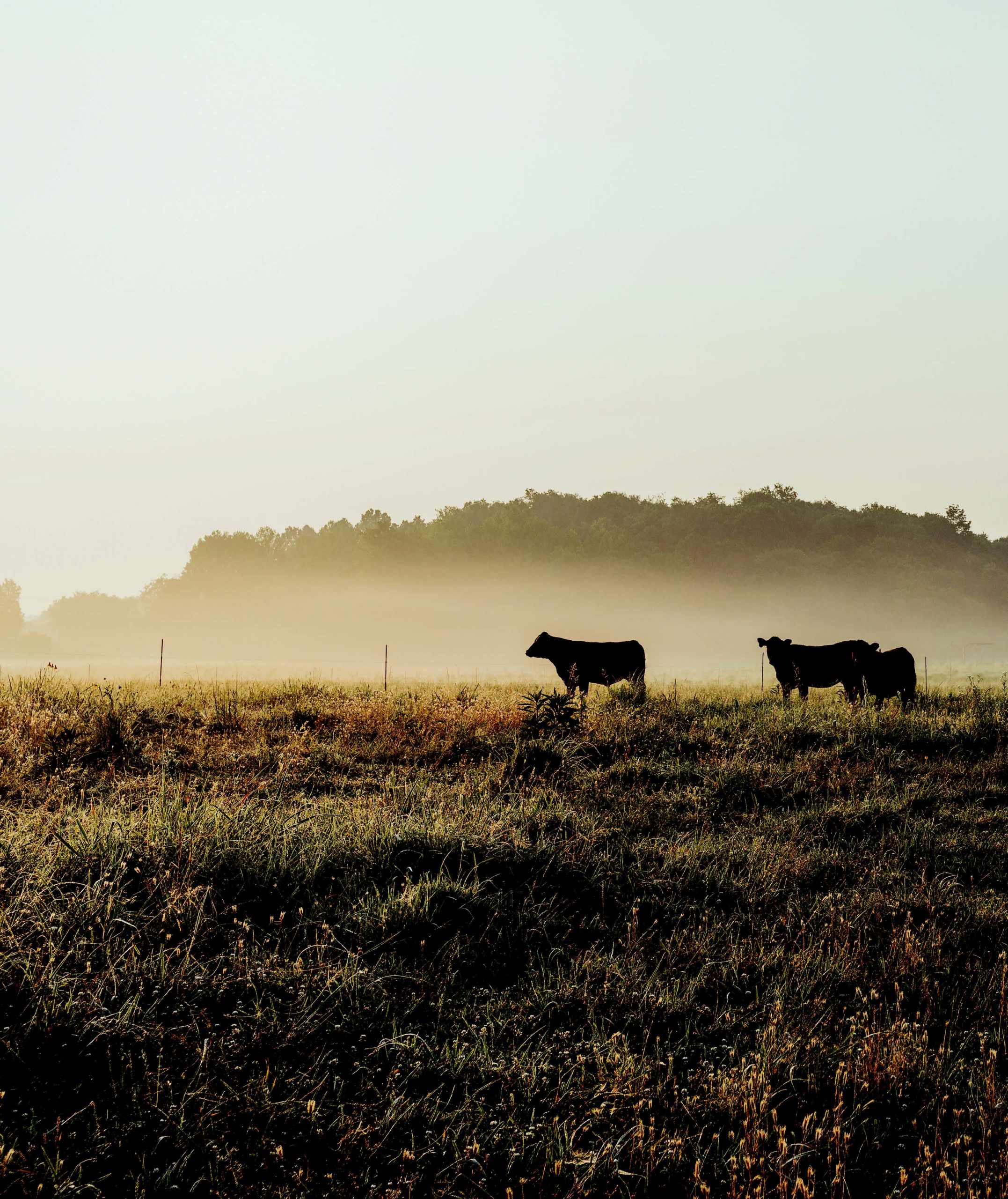 The Grasslands Partnership | Land, Life & Science